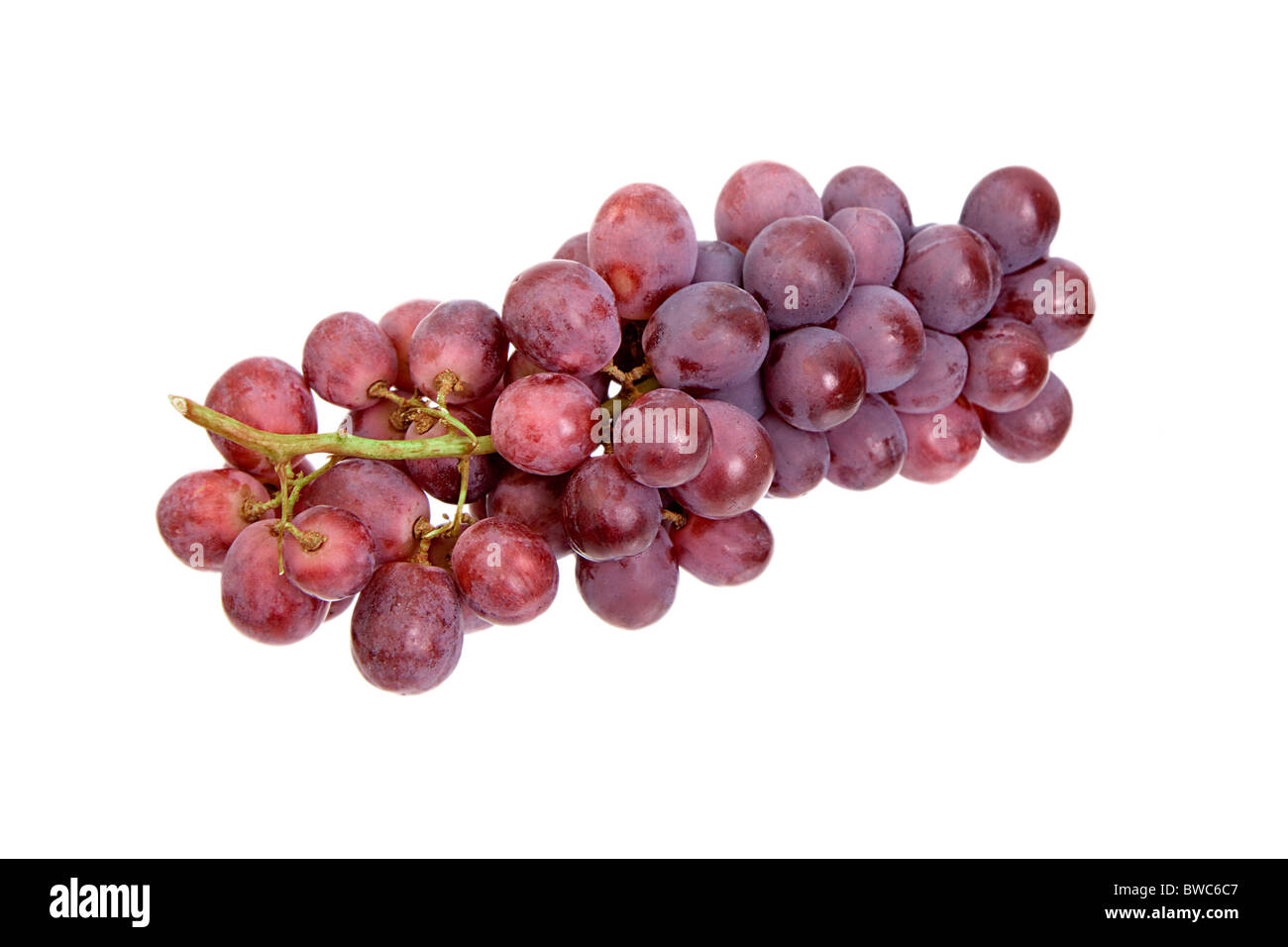 Cluster of red grapes on a white background Stock Photo - Alamy