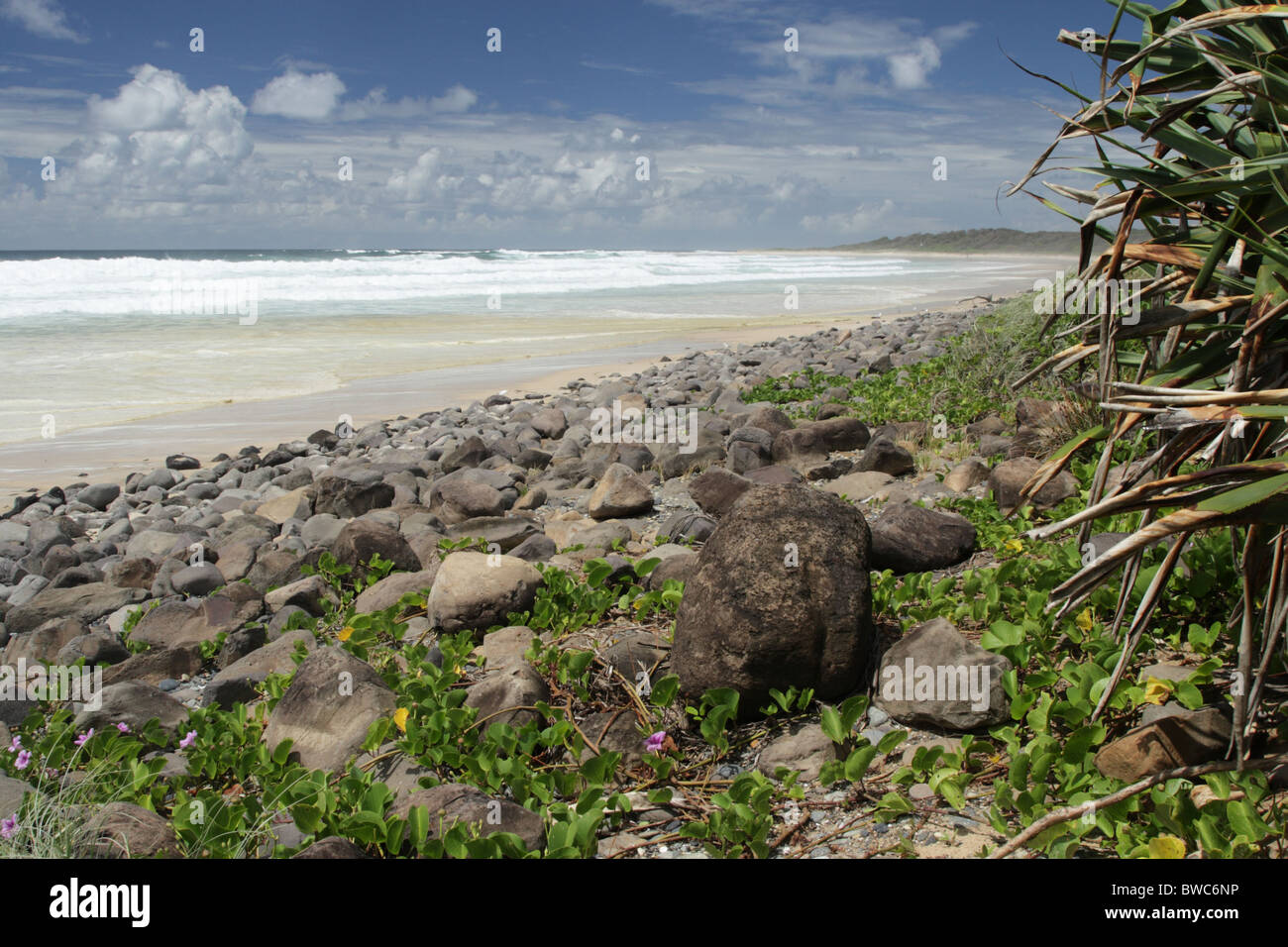 Lonely beach in Australia Stock Photo - Alamy