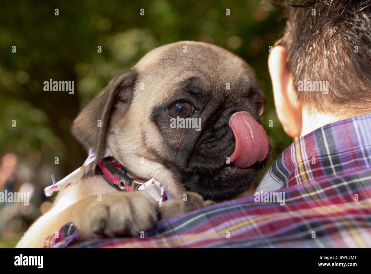 Open cheques hi-res stock photography and images - Alamy