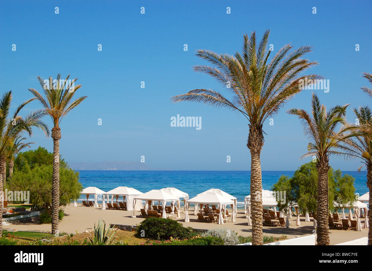 Palm trees at the beach of luxury hotel, Crete, Greece Stock Photo - Alamy