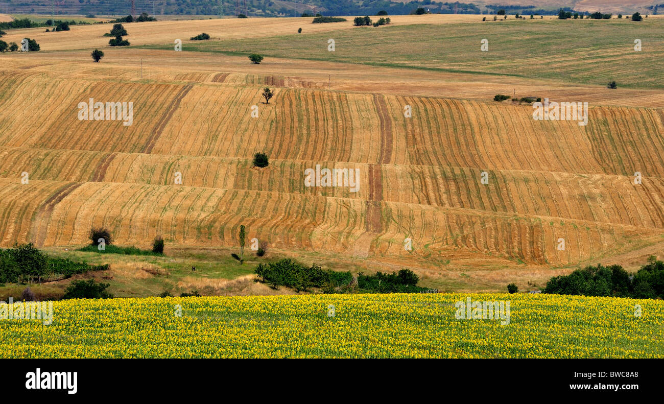Arable farming grassland hi-res stock photography and images - Alamy