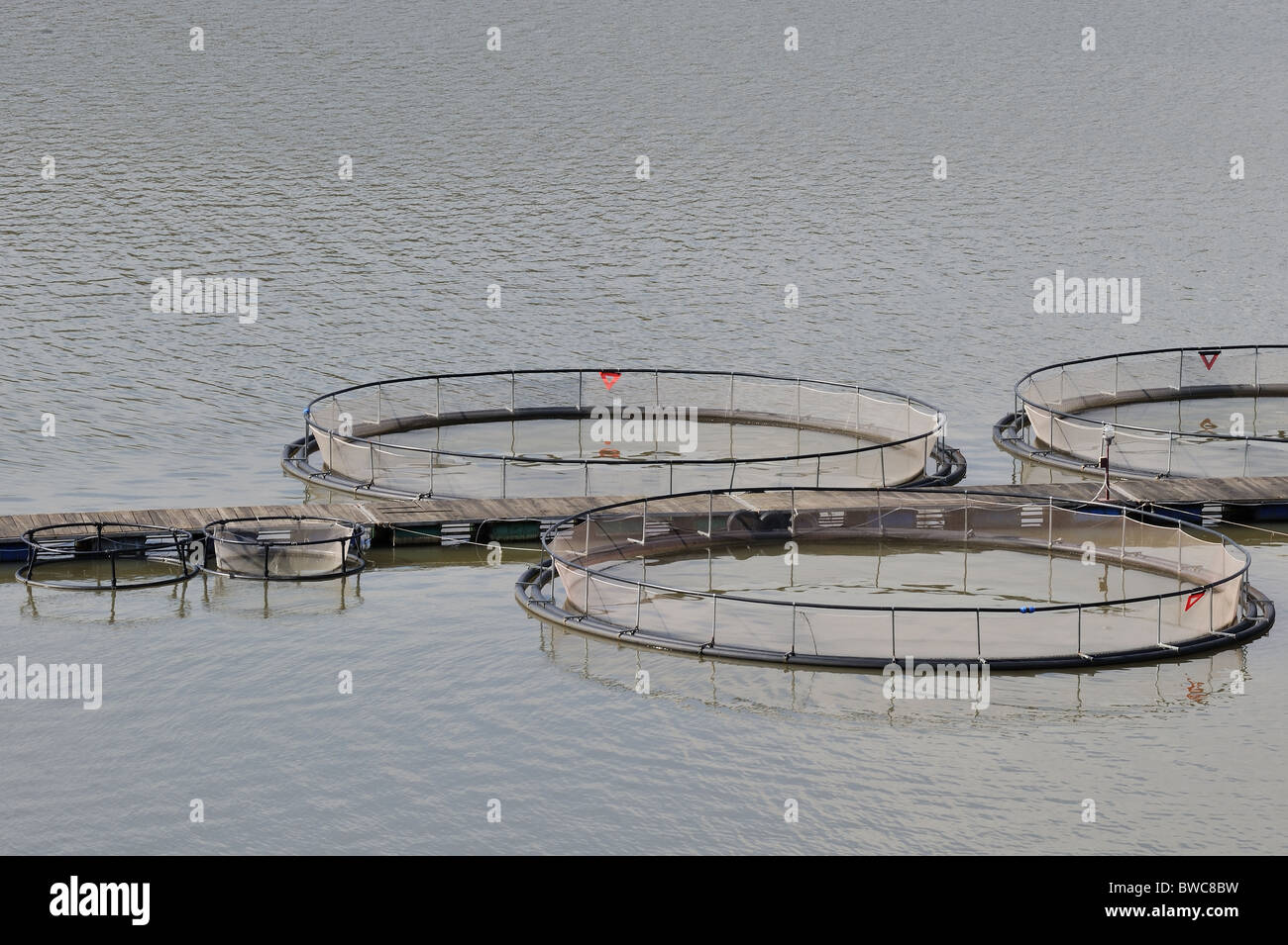 Circular fish cages hi-res stock photography and images - Alamy