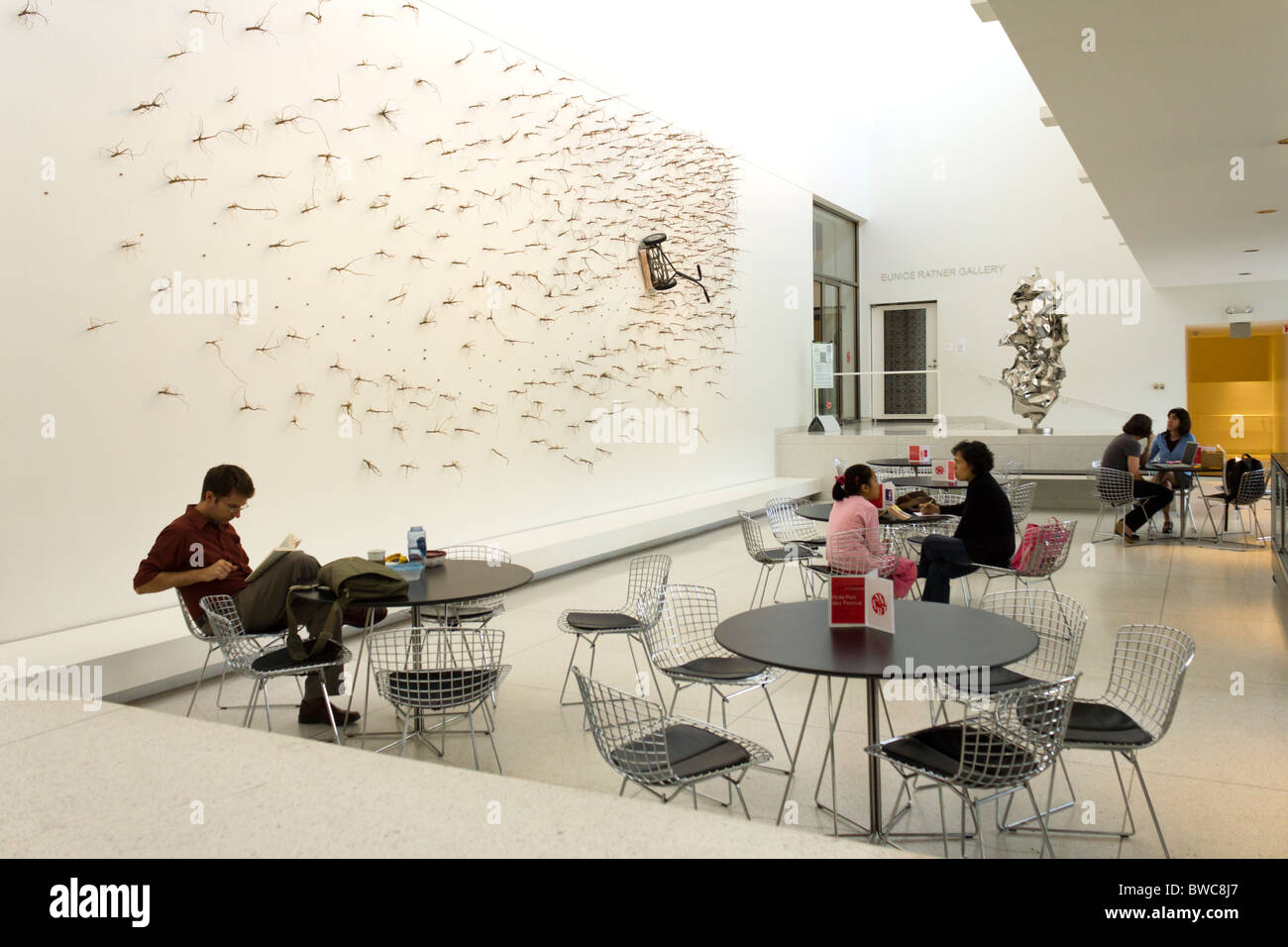 cafe, David and Alfred Smart Museum, University of Chicago, Illinois ...