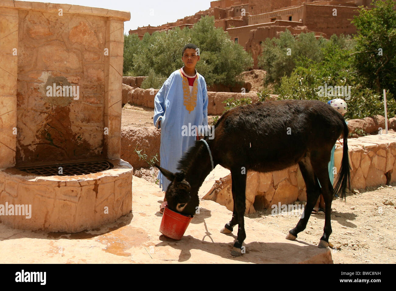 A child stands at a well as his donkey drinks water in Ait Benhaddou ...