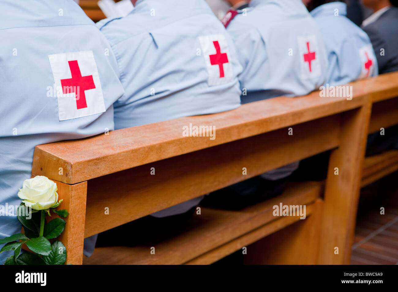 Four red cross volunteers setting on a bench with a white rose Stock ...