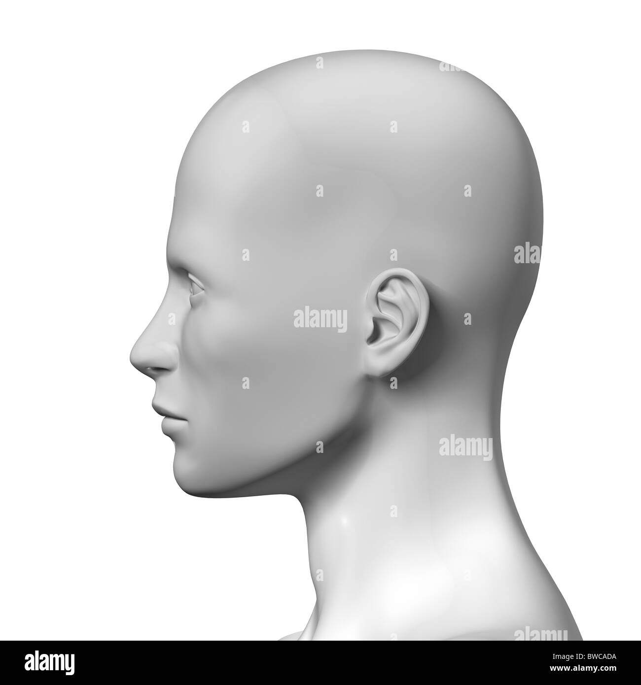 Concept head Black and White Stock Photos & Images - Alamy