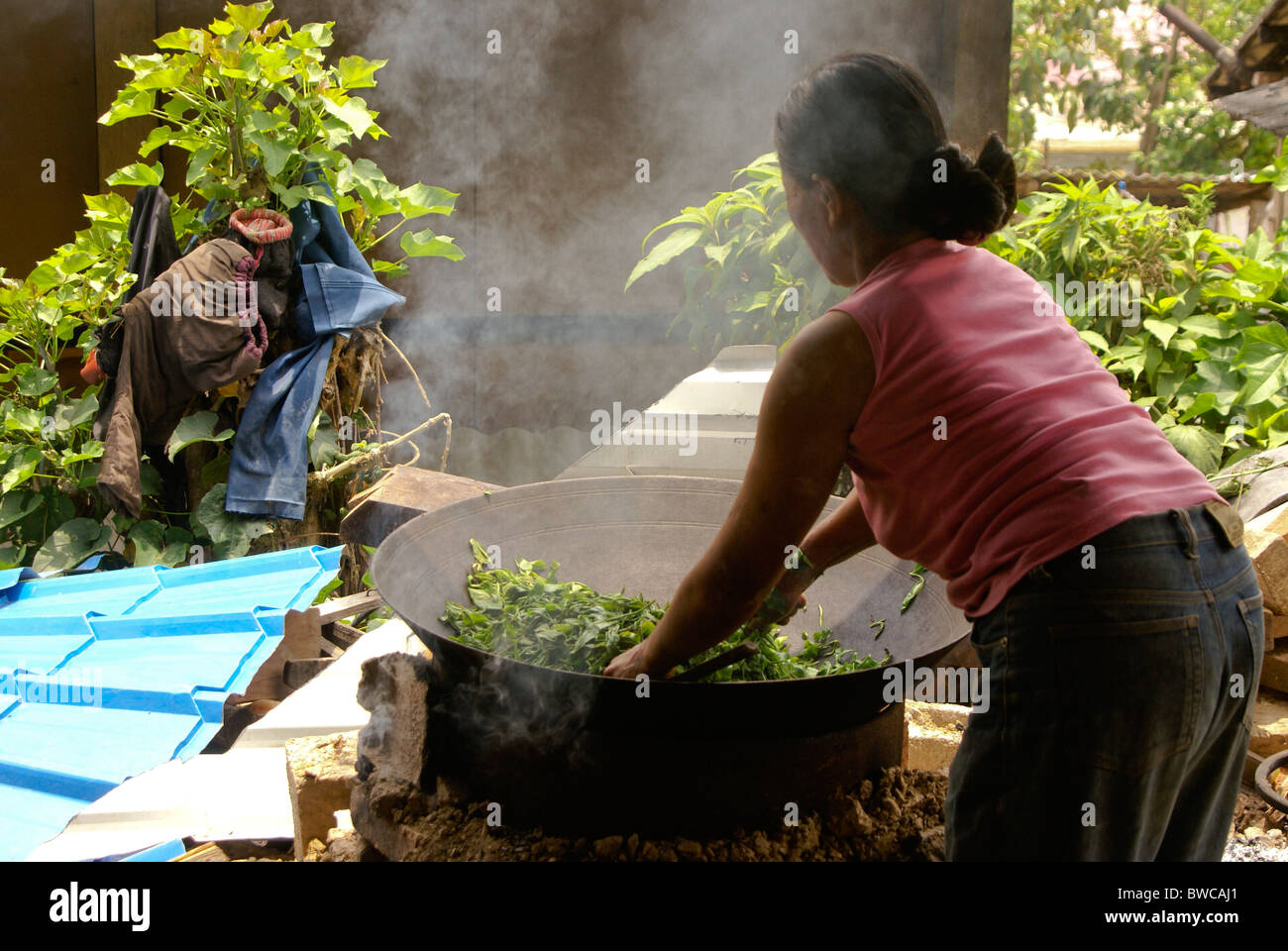 Drying tea leaves hi-res stock photography and images - Alamy
