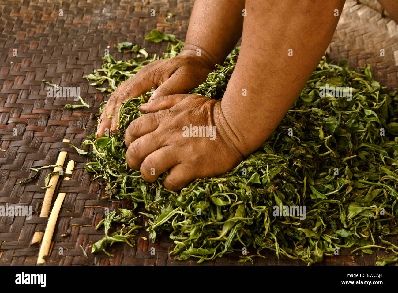 Drying tea leaves hi-res stock photography and images - Alamy