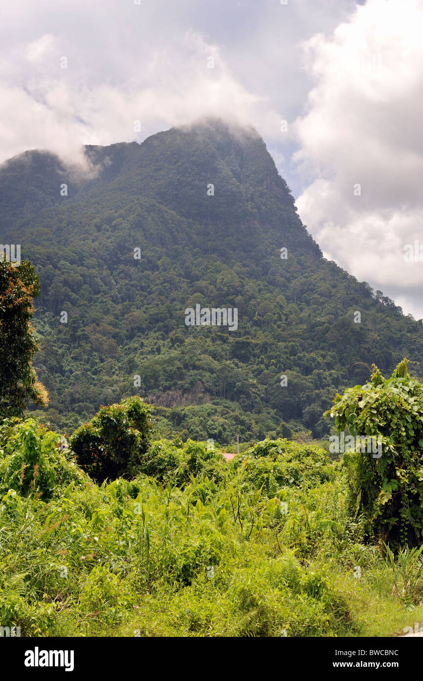 Mount santubong hi-res stock photography and images - Alamy