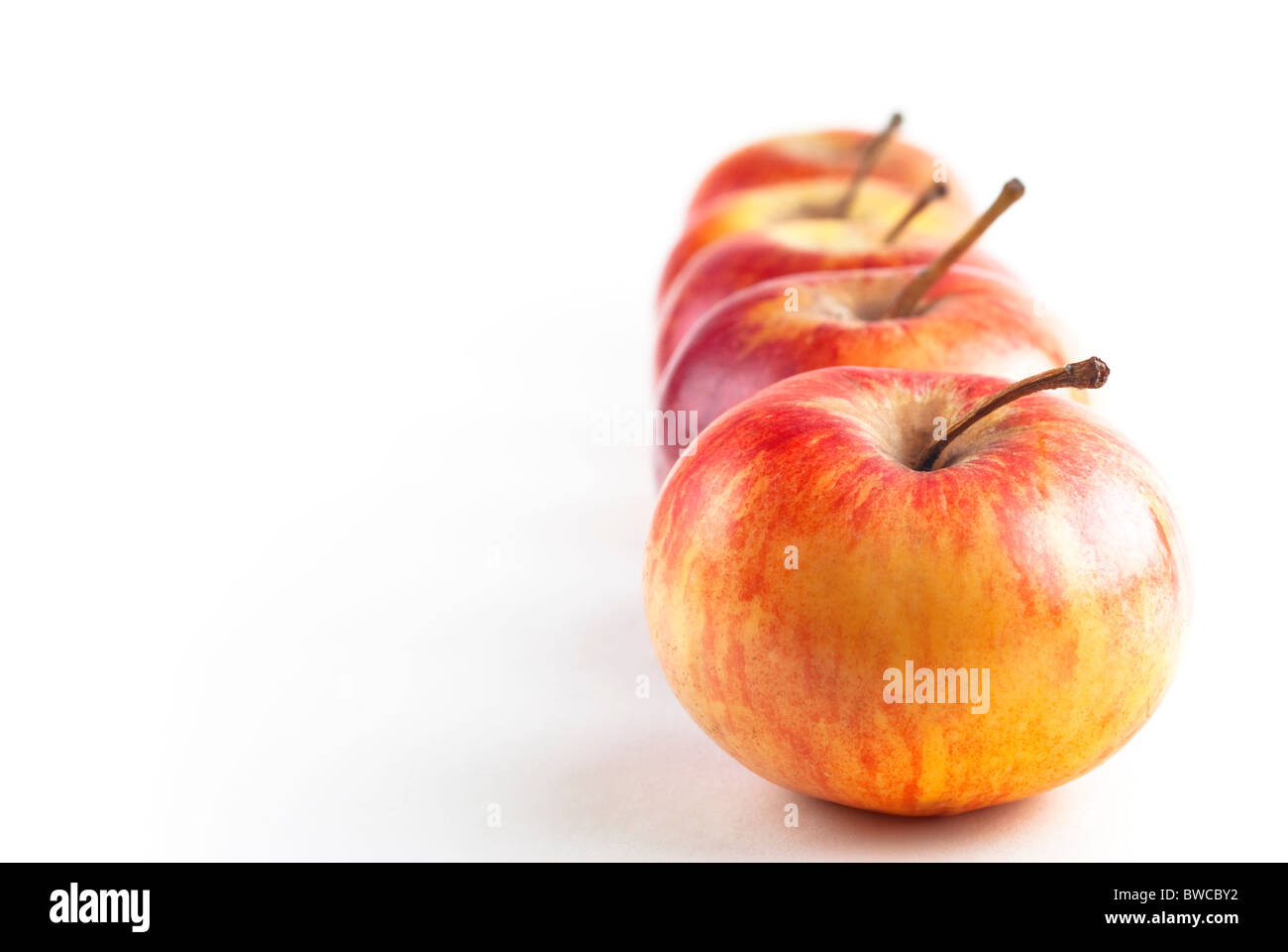 A row of red and yellow organic apples with stalks, leading from front ...
