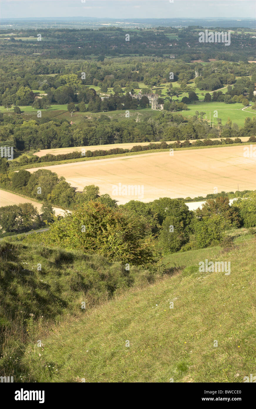 Looking out over the Sussex Weald from Rackham Hill in the South Downs ...