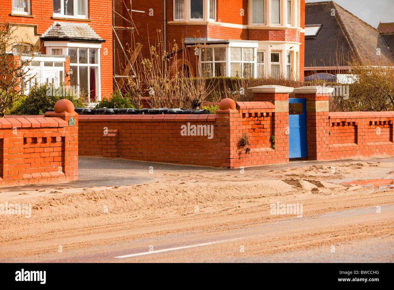 On November 11th 2010 a severe storm with 100 mph winds blew tonnes of ... On November 11th 2010 a severe storm with 100 mph winds blew tonnes of ...