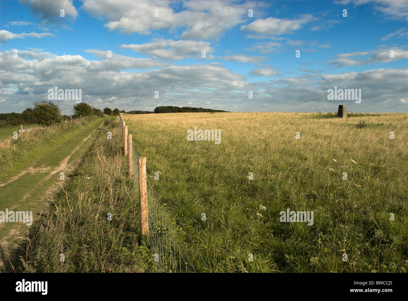 The South Downs Way at Rackham Hill between Washington and Amberley in ...