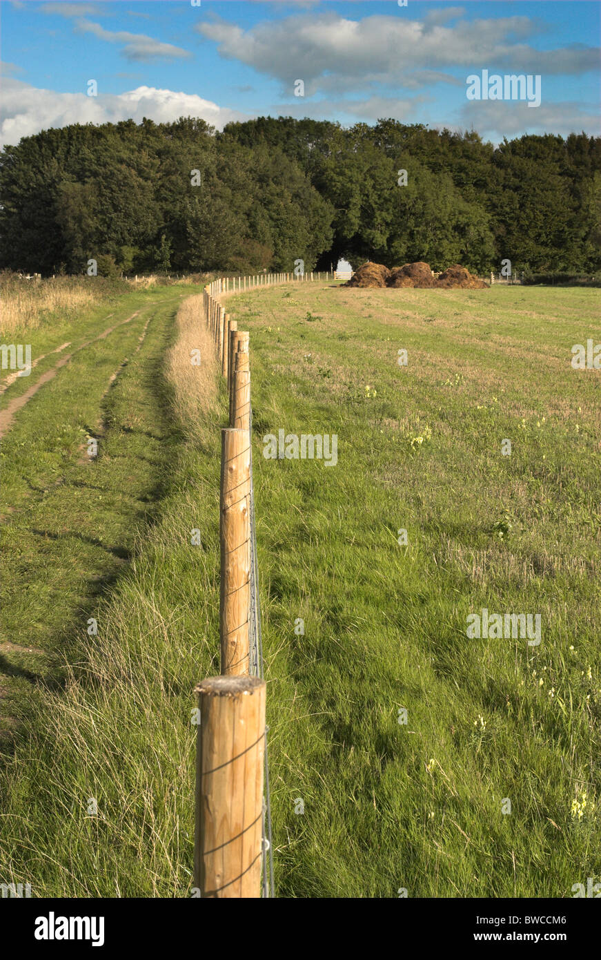 The South Downs Way at Rackham Hill between Washington and Amberley in ...