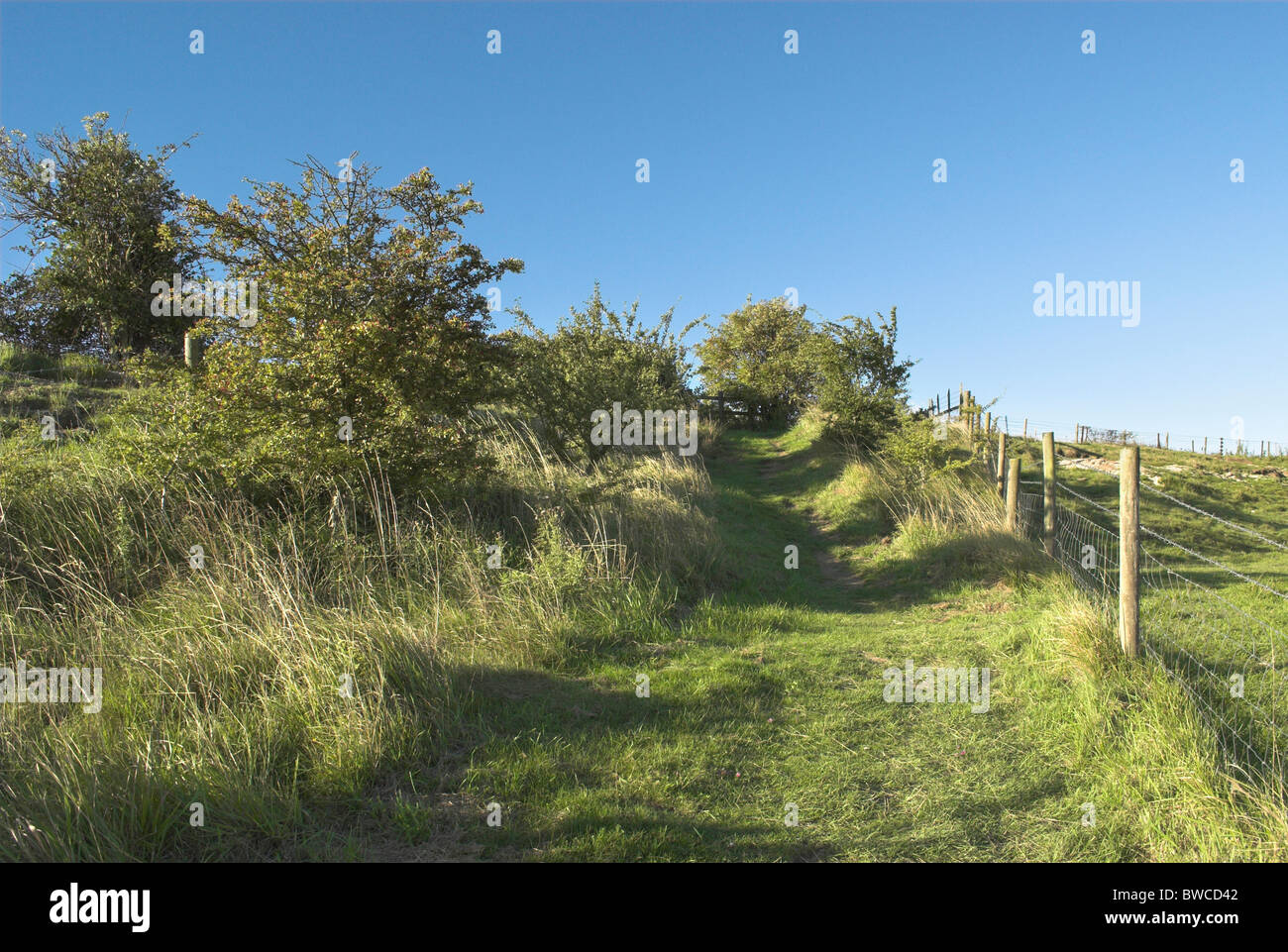 Looking from Cow Bottom towards Lancing Hill - South Downs National ...