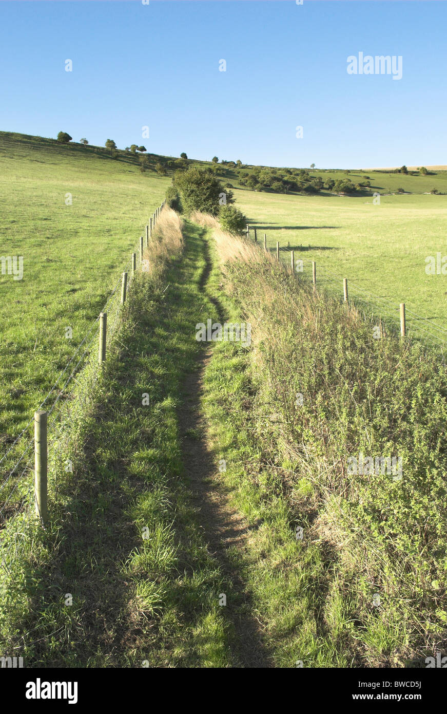 Looking from Cow Bottom towards Lancing Hill - South Downs National ...