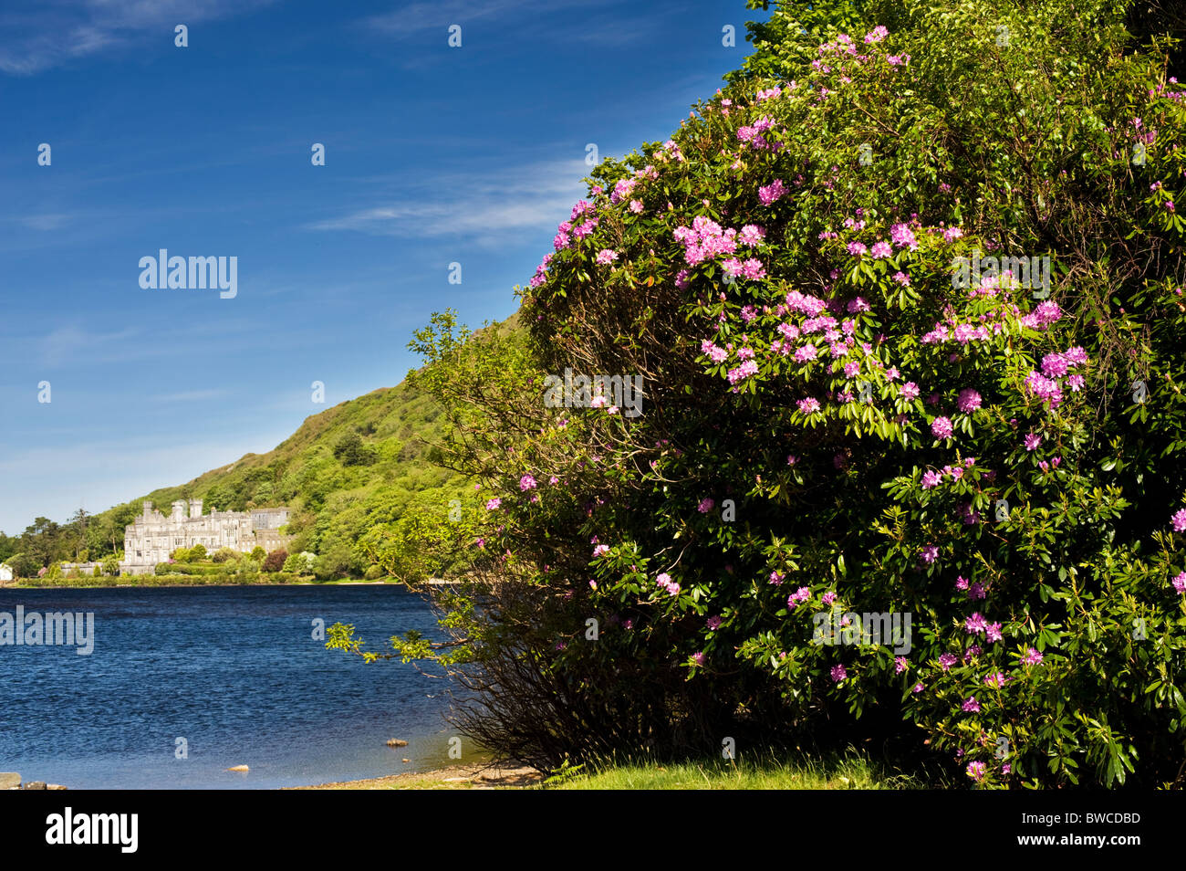 Kylemore Abbey and Lough Pollacappul, Connemara, Co Galway, Ireland ...