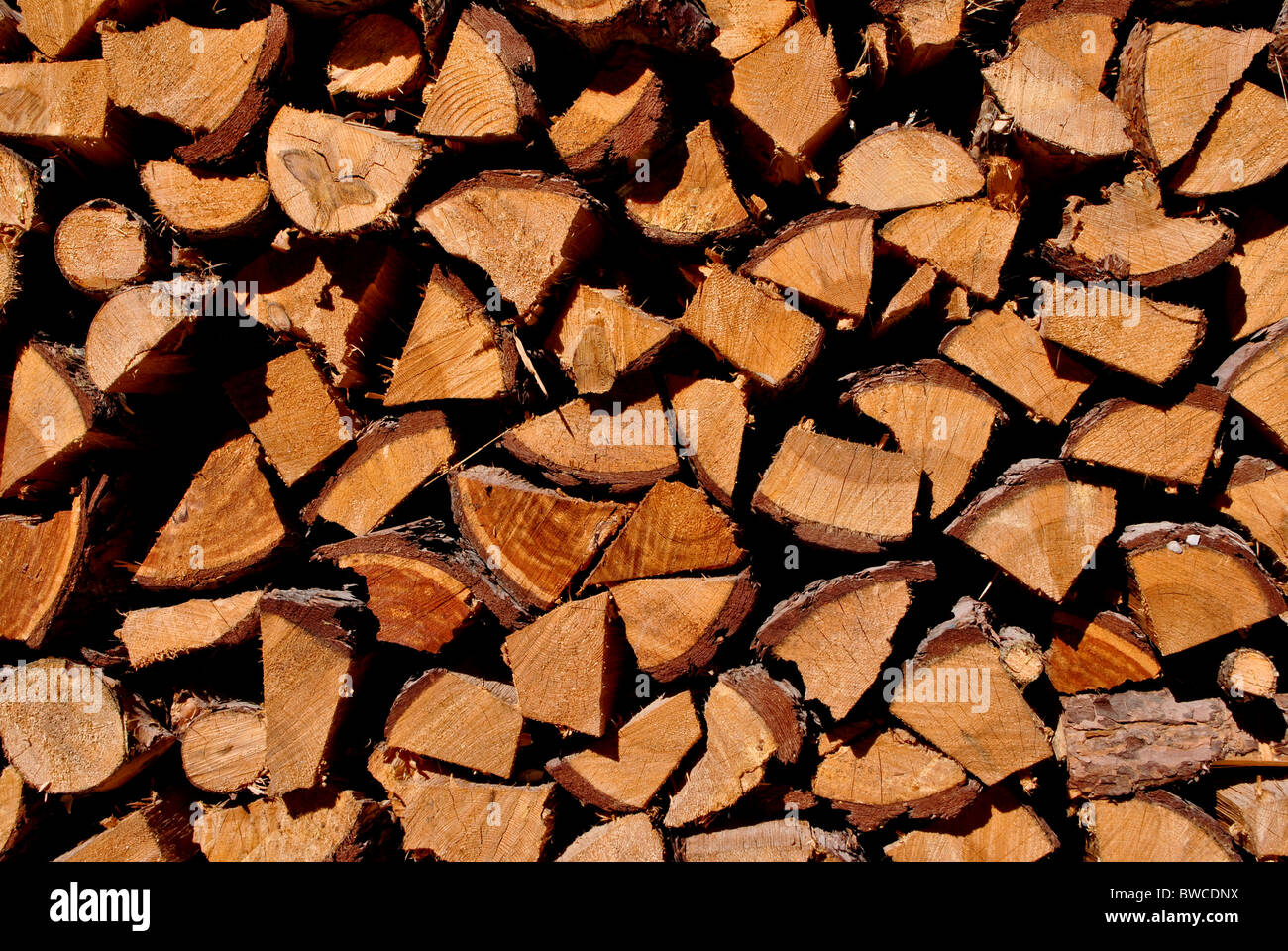 texture firewood larch Stock Photo - Alamy