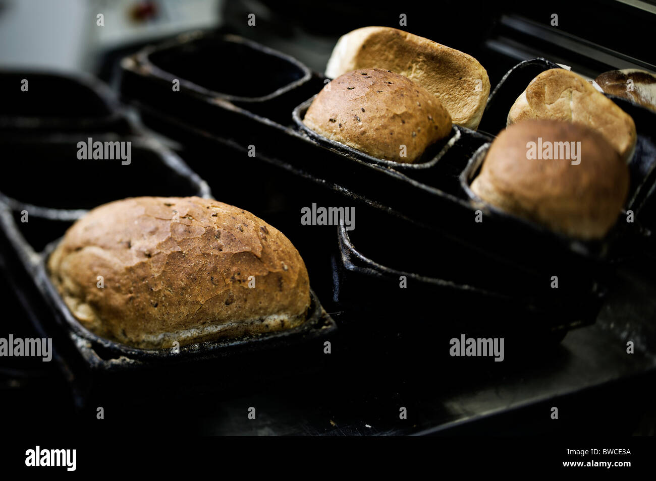 Traditional bakery rustic granary loaves in tin Stock Photo - Alamy