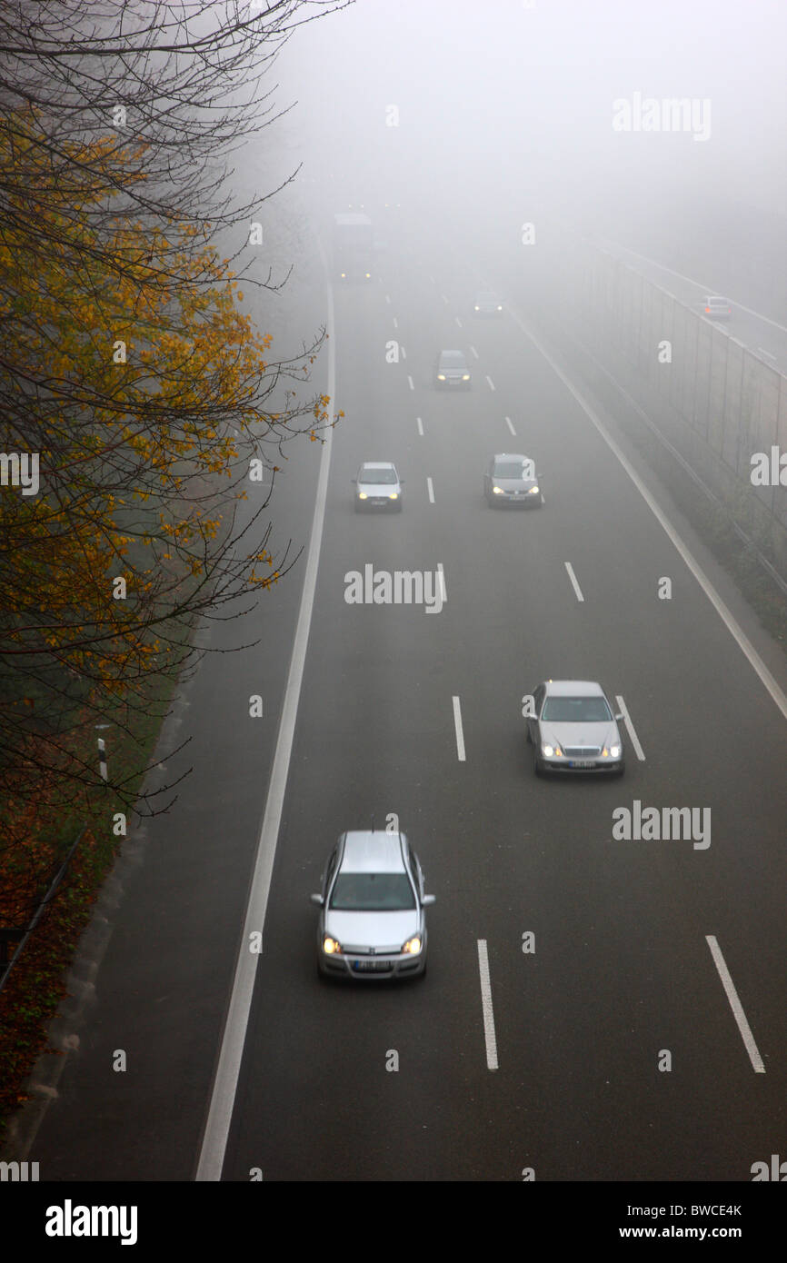 Highway dense trees on hi-res stock photography and images - Alamy