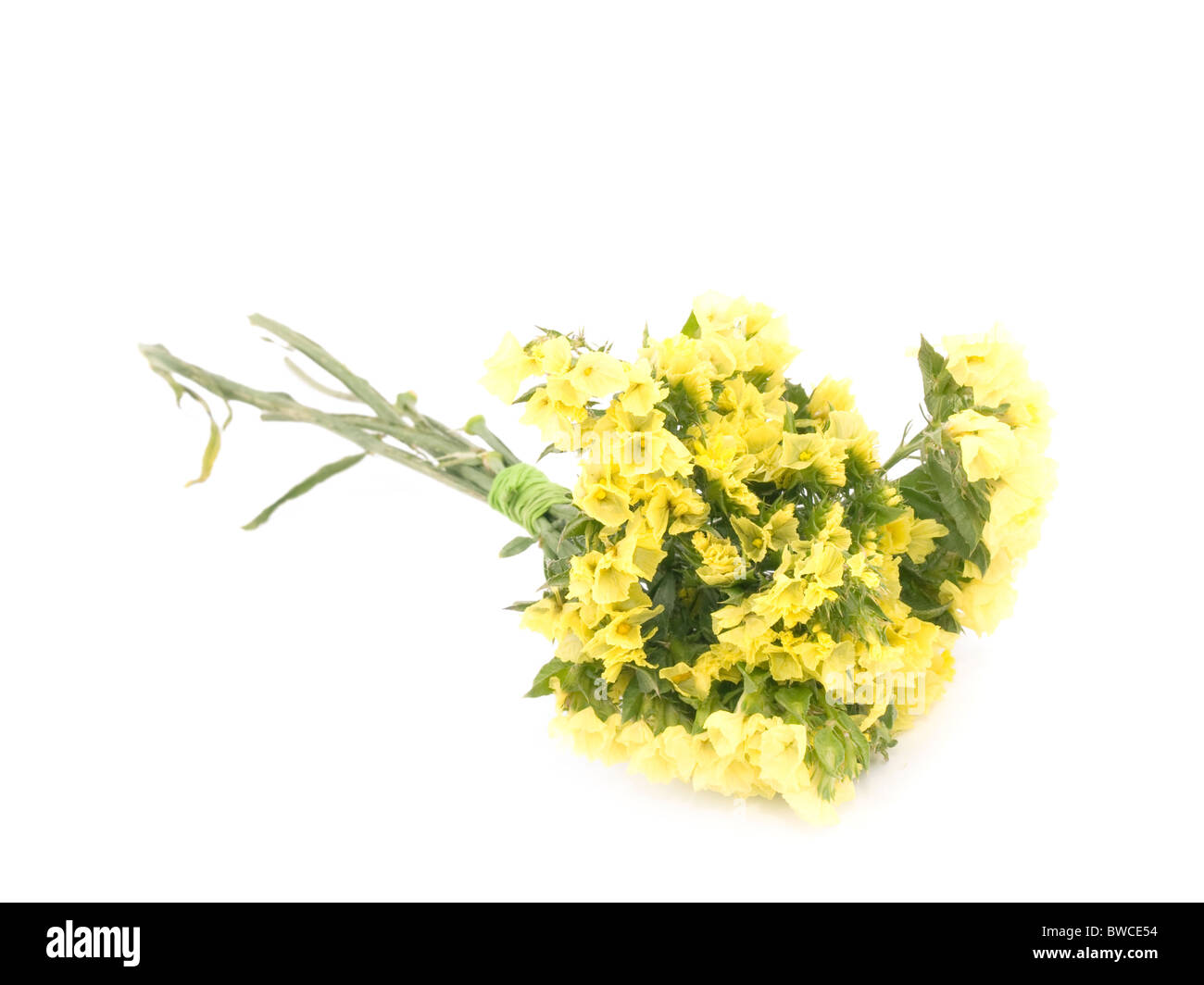 Small bouquet of yellow statice flowers on white background Stock Photo ...
