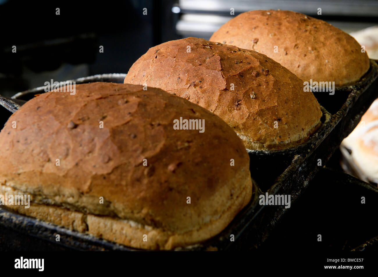 Traditional bakery rustic granary loaves in tin Stock Photo - Alamy
