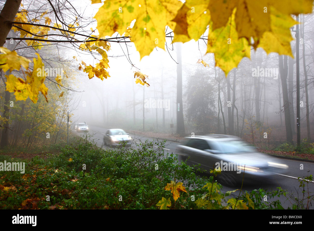 Fog low hi-res stock photography and images - Alamy