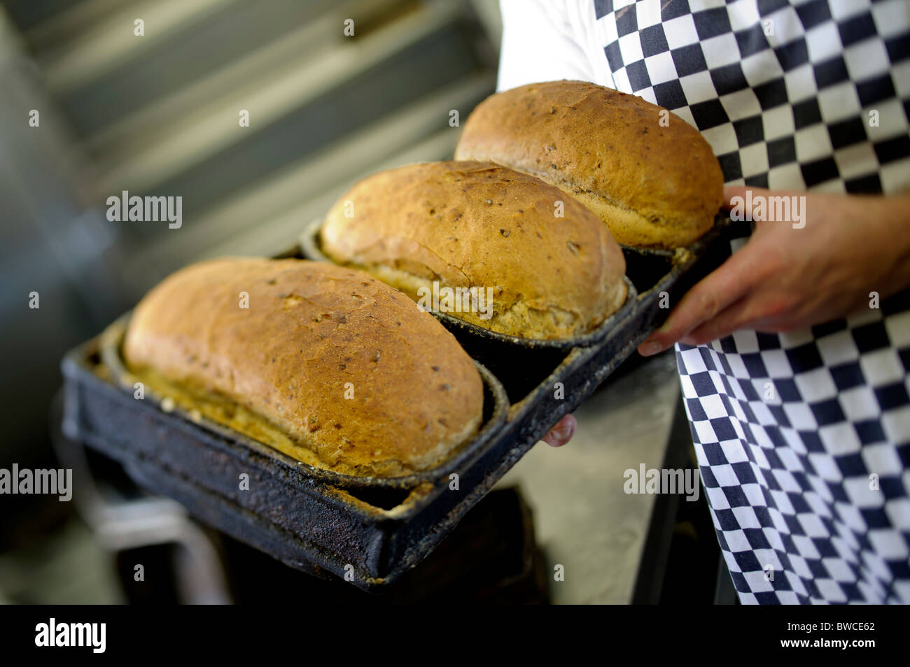 Traditional bakery baker at work with rustic loaves in tin, Devon, uk ...