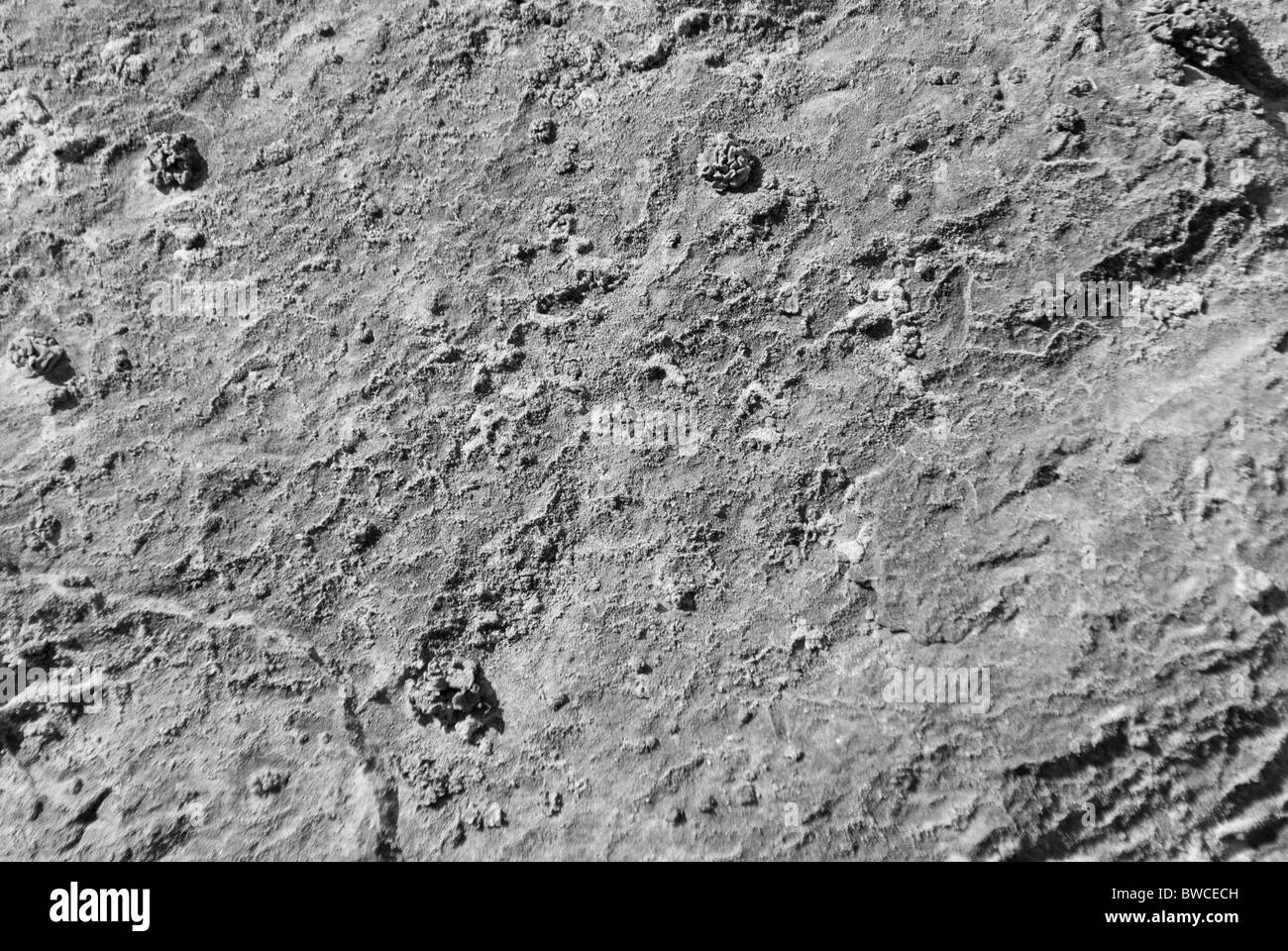 dolomite rock texture Stock Photo - Alamy