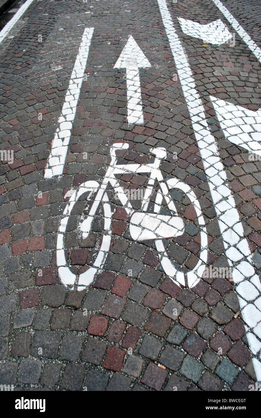 road for bicycles surrounded by nature Stock Photo - Alamy