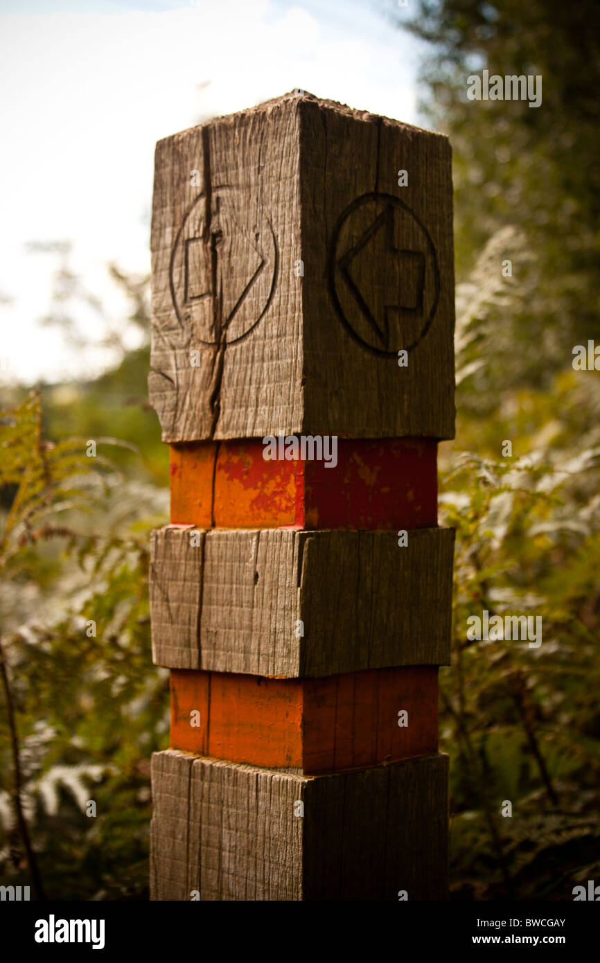 Direction post marking the way on a woodland trail Stock Photo - Alamy