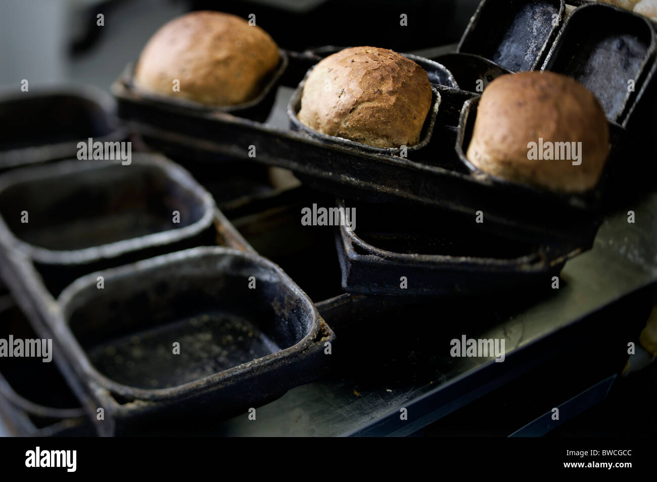 Traditional bakery rustic granary loaves in tin Stock Photo - Alamy