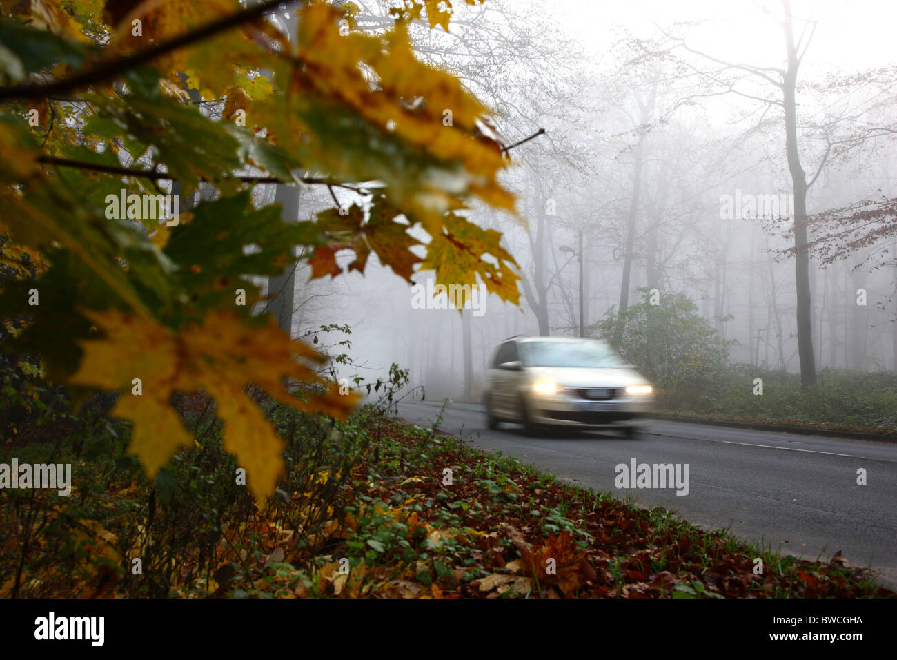 Thick fog lights hi-res stock photography and images - Alamy