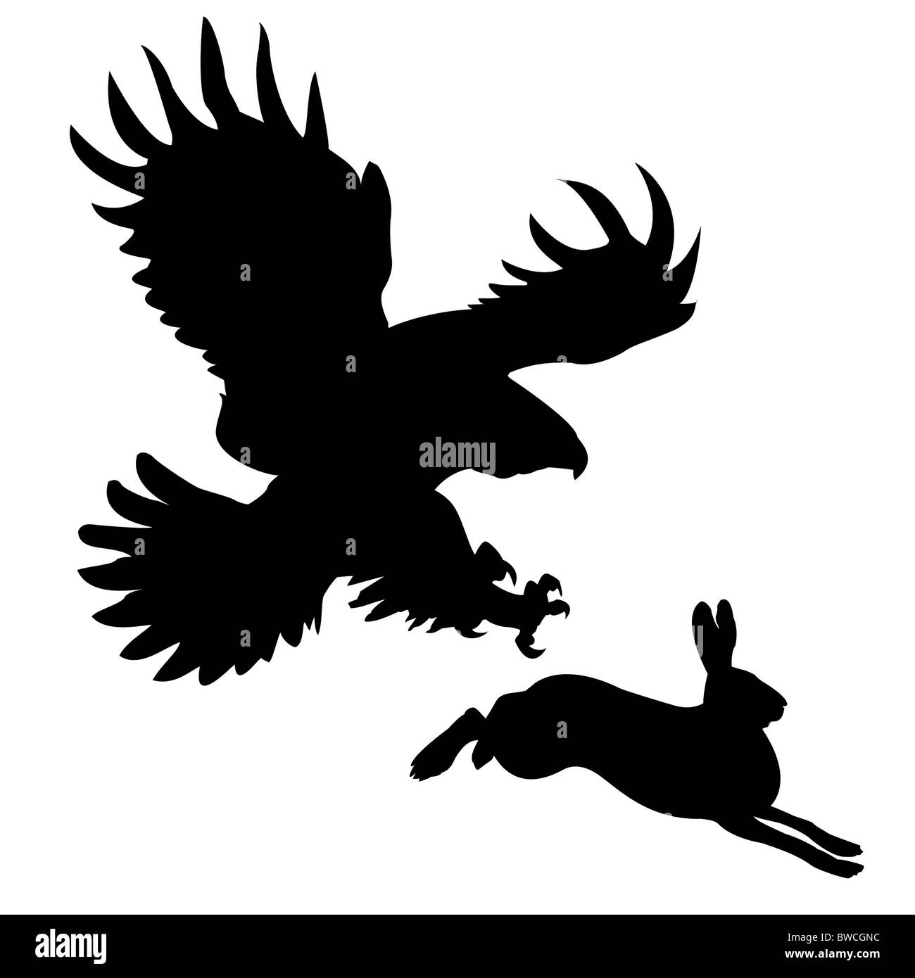 Ravenous bird hi-res stock photography and images - Alamy