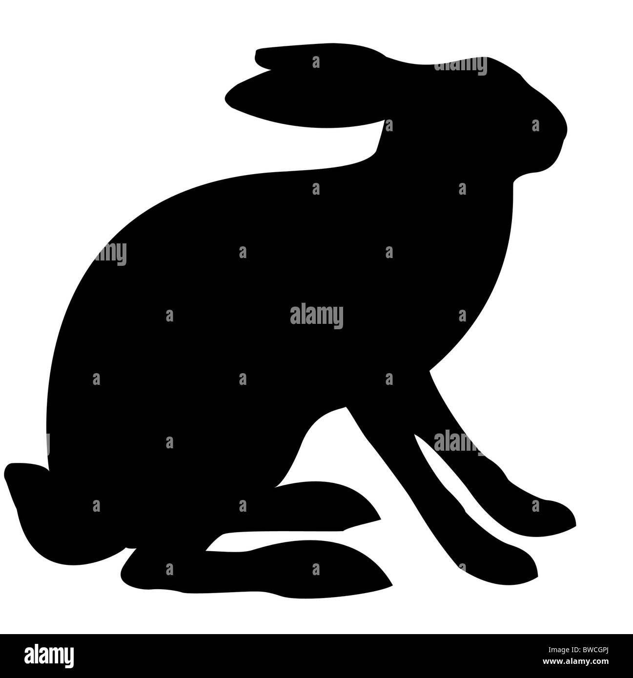illustration hare isolated on white background Stock Photo - Alamy