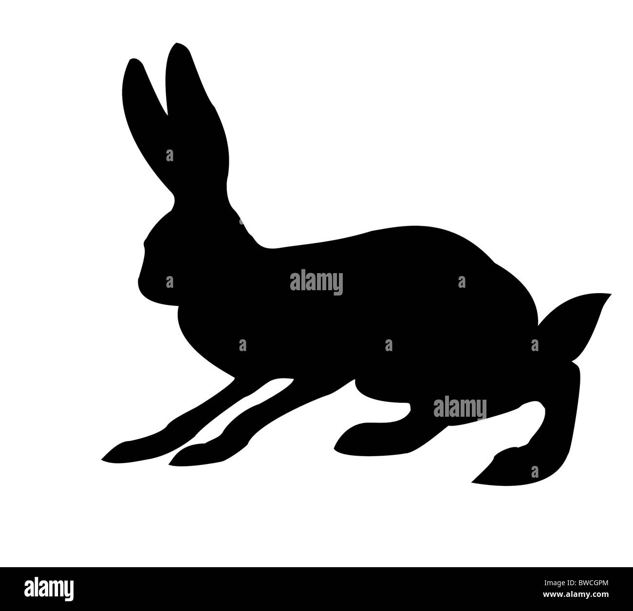 silhouette of the rabbit isolated on white background Stock Photo - Alamy