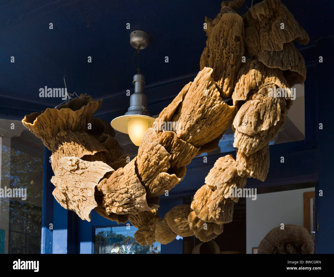 Sponge shop in downtown Apalachicola, Gulf Coast, Florida, USA Stock ...