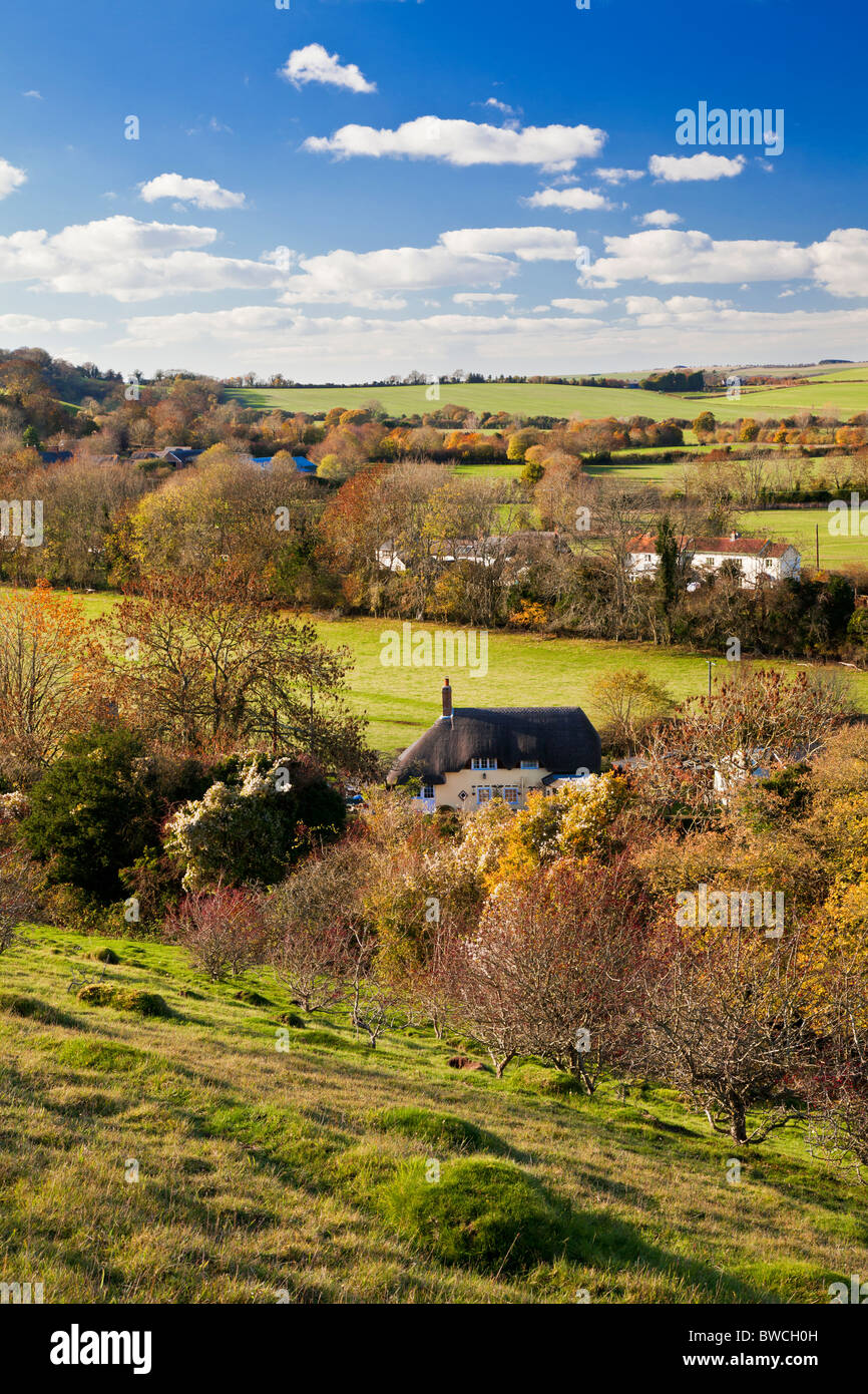 Thatched fields hi-res stock photography and images - Alamy