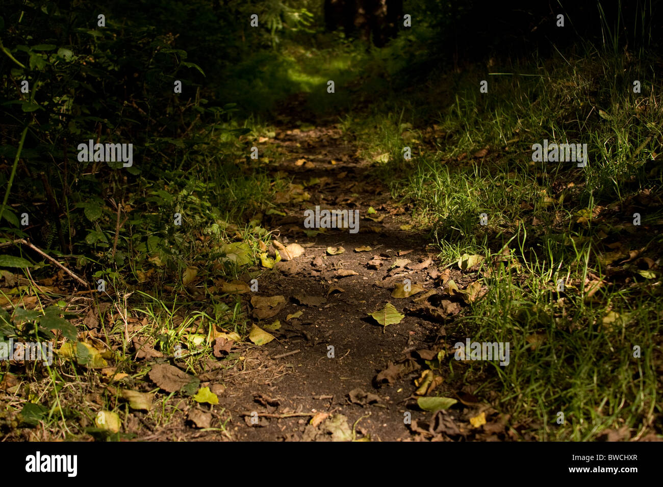 Rambling walking pathway hi-res stock photography and images - Alamy