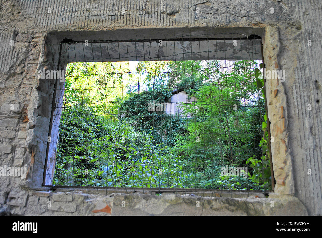 broken window closed with wooden planks Stock Photo - Alamy