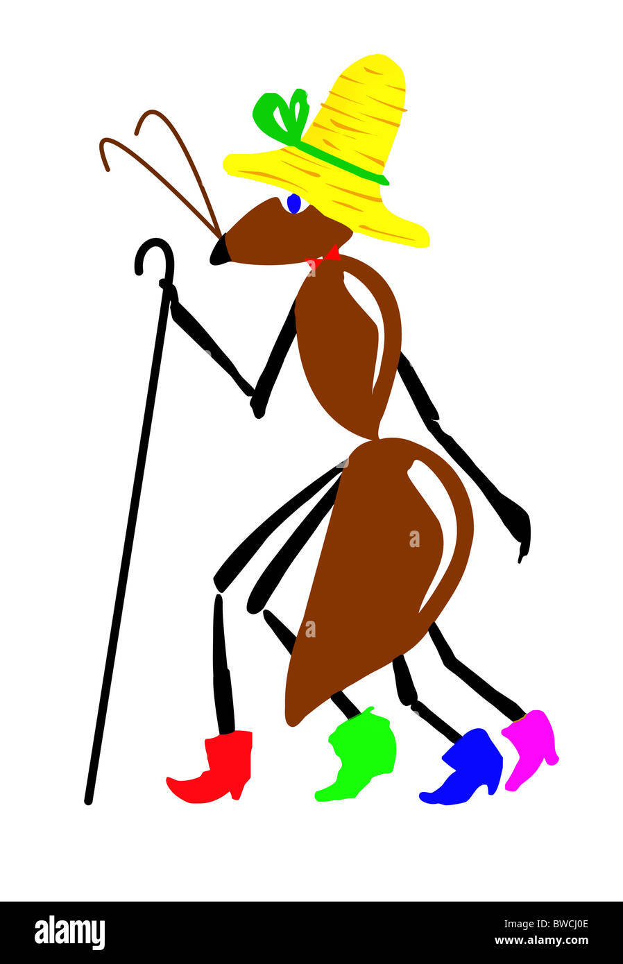 Walking stick insect on white Cut Out Stock Images & Pictures - Alamy