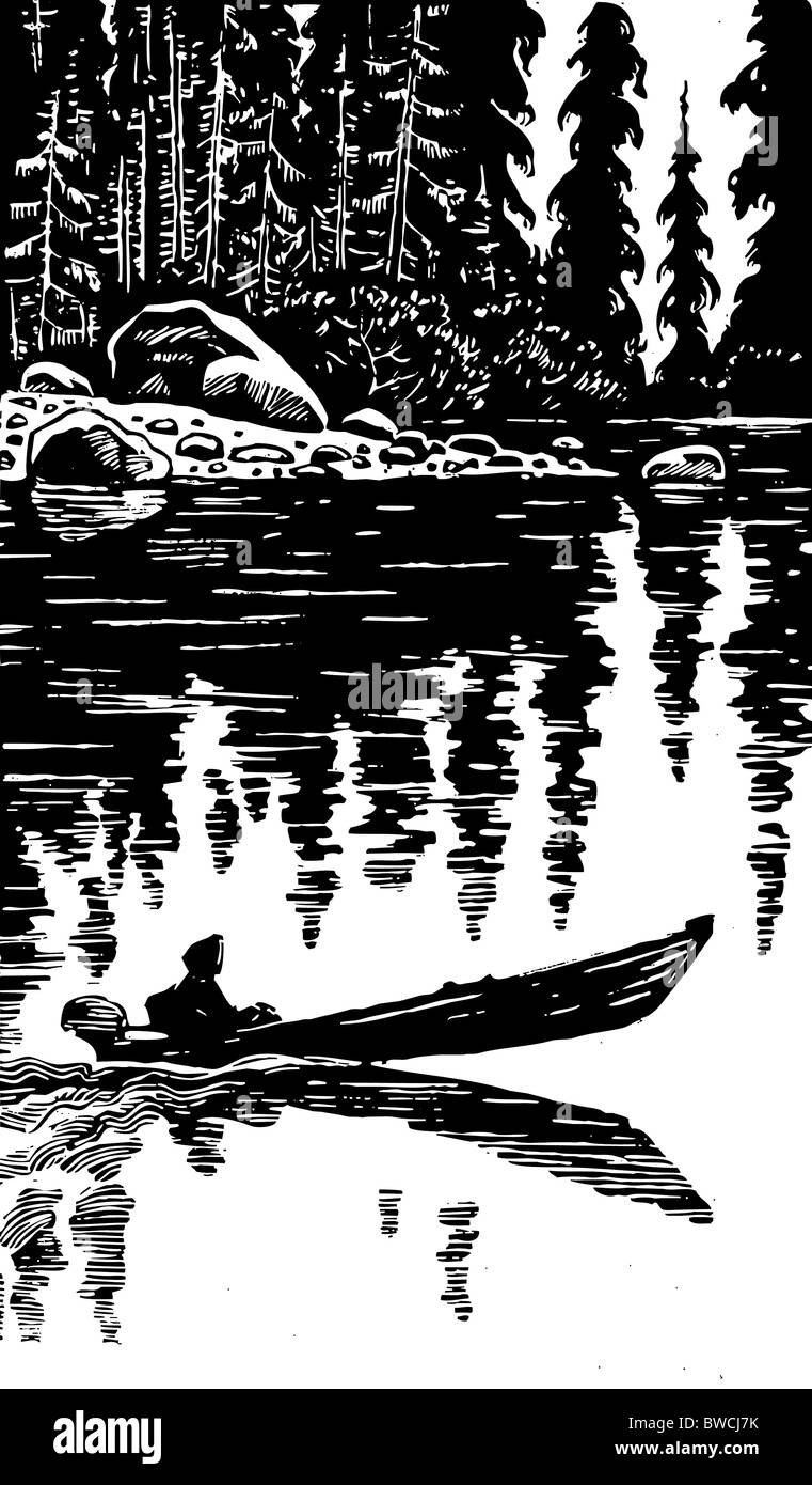 Person drawing tree Black and White Stock Photos & Images - Alamy