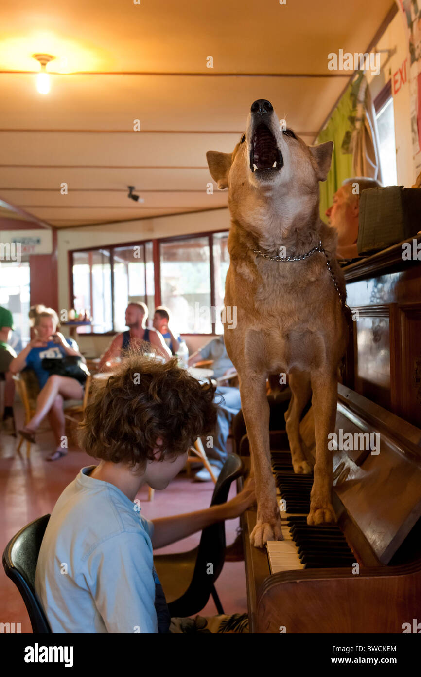 Stuarts well roadhouse hi-res stock photography and images - Alamy