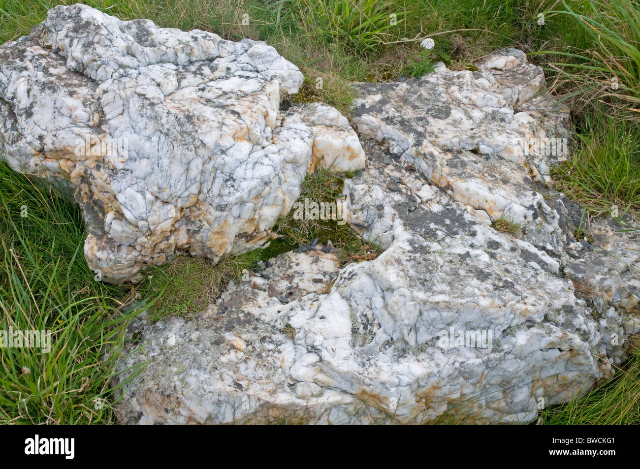Quartzite vein quartz hi-res stock photography and images - Alamy