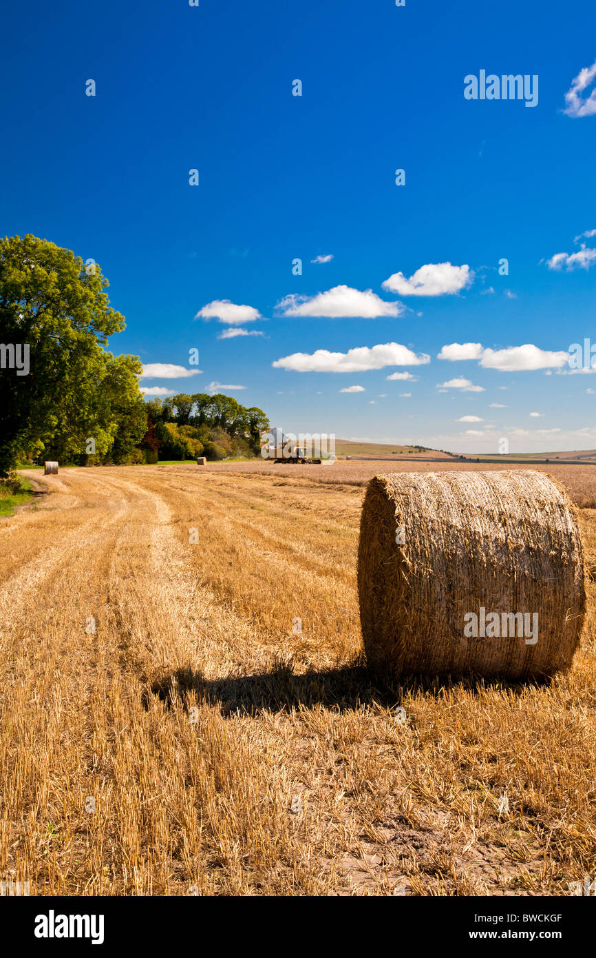 Roundway down wiltshire hi-res stock photography and images - Alamy