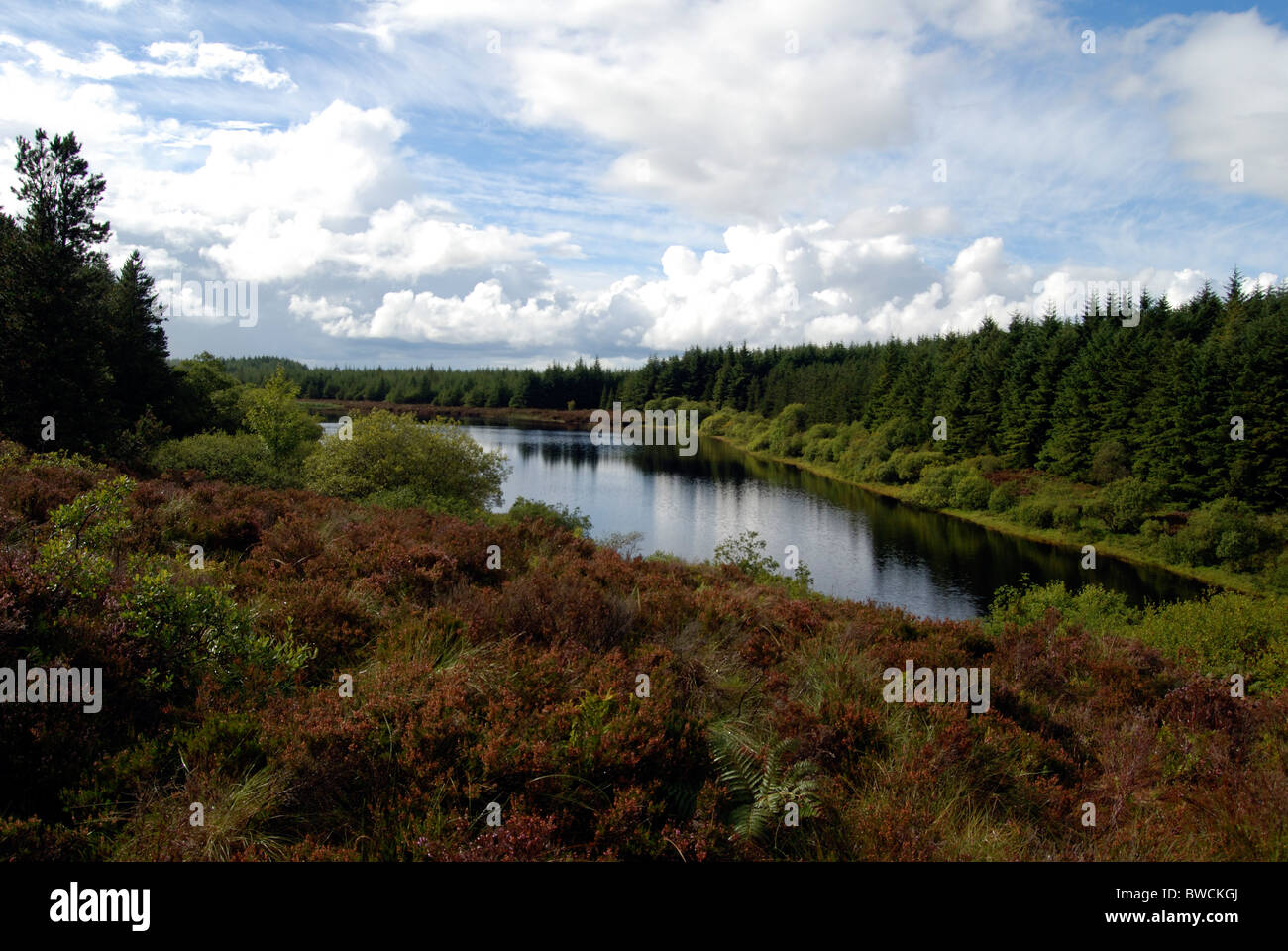Lake at Lough Navar Forest in County Fermanagh Stock Photo - Alamy