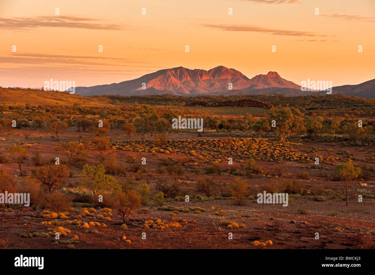 Macdonnell ranges hi-res stock photography and images - Alamy