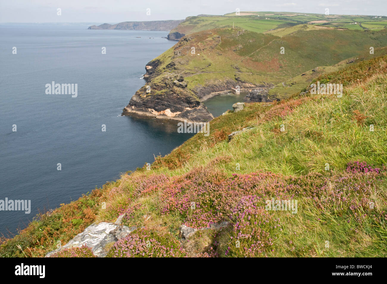 Cornish sedimentary rock hi-res stock photography and images - Alamy
