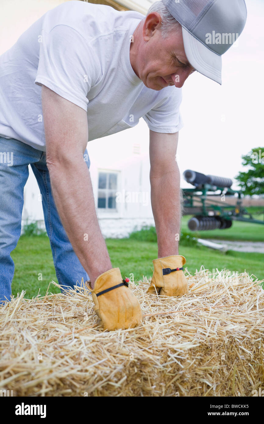 USA, Illinois, Metamora, Farmer lifting hay bale on farm Stock Photo ...