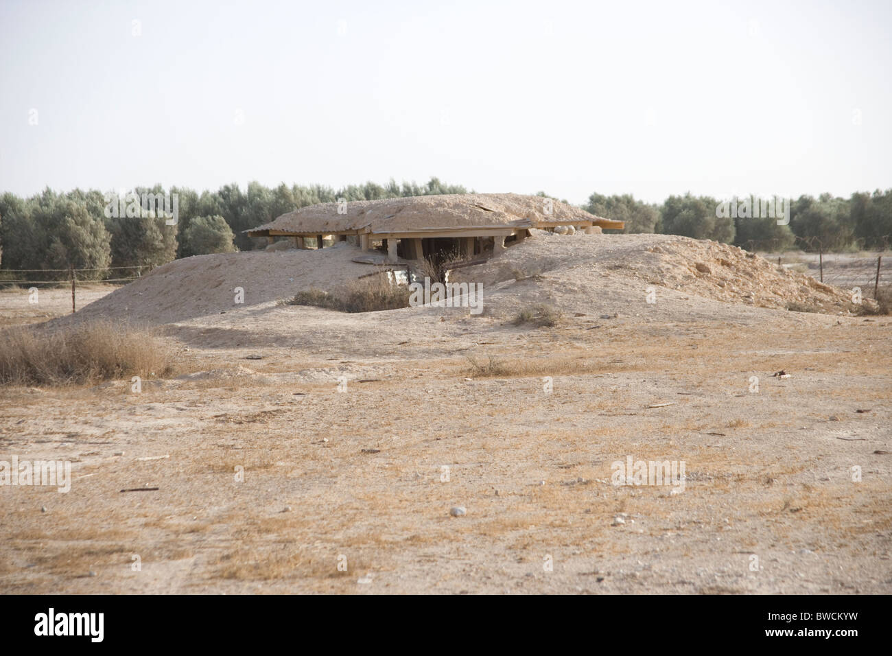 In kibbutz revivim in negev desert hi-res stock photography and images ...